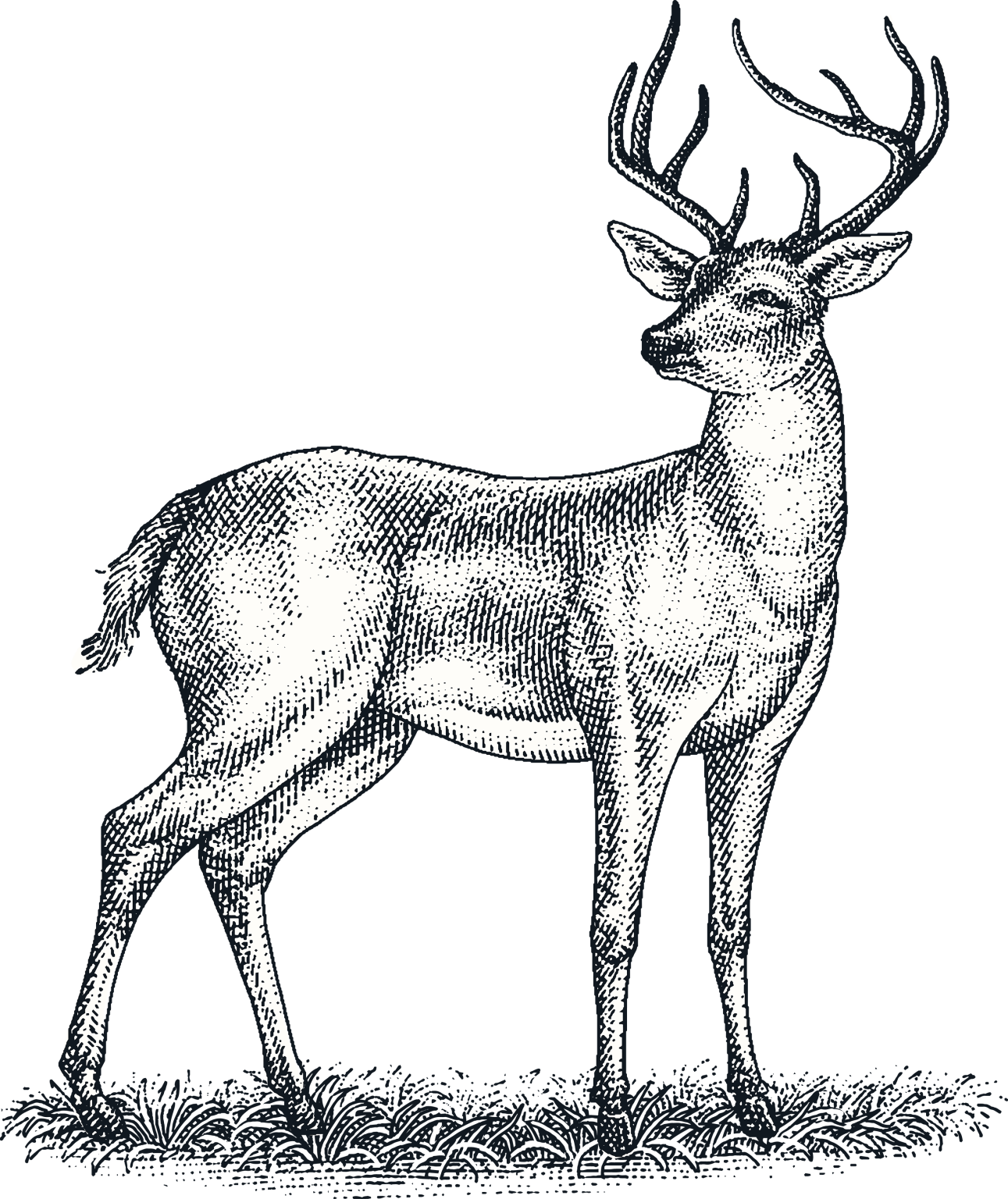 Serenity Ridge Mountain Club - Luxury Mountain Cottage Resort, Warwick, NY